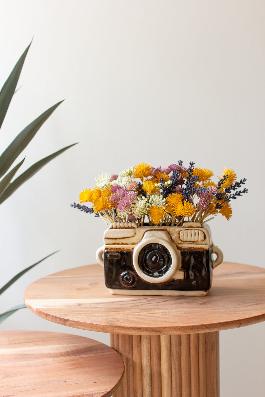 Ceramic Camera Planter – Hudson & Vine