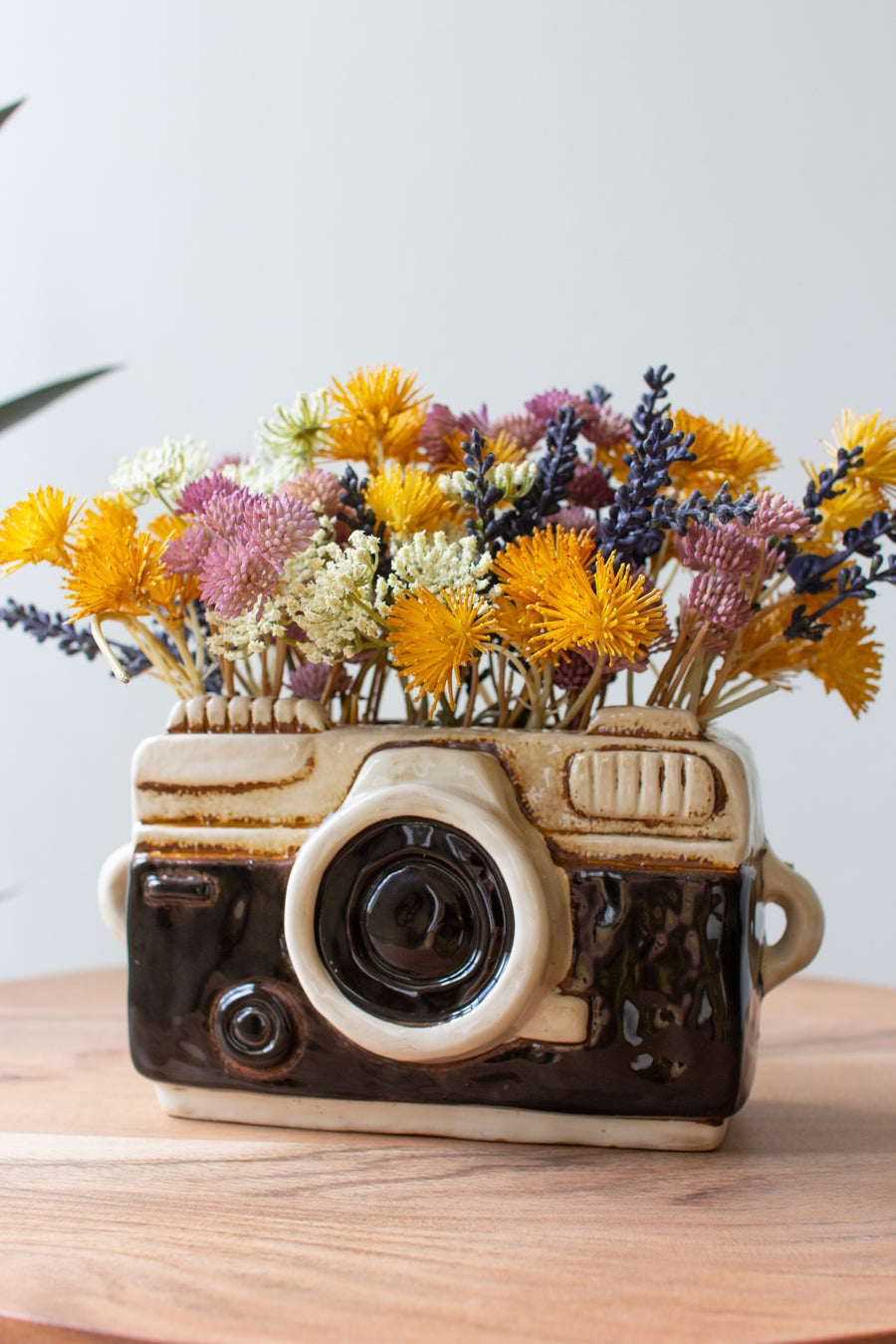 Ceramic Camera Planter – Hudson & Vine