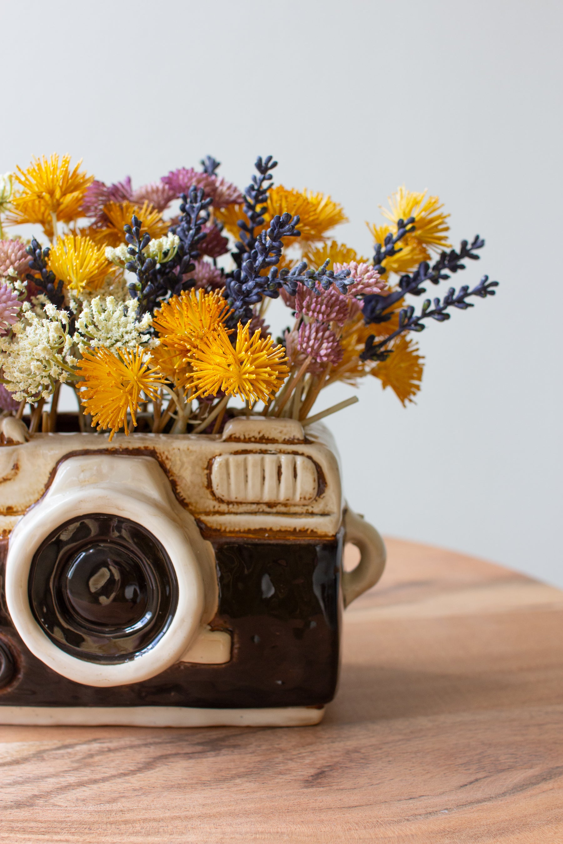 Ceramic Camera Planter – Hudson & Vine