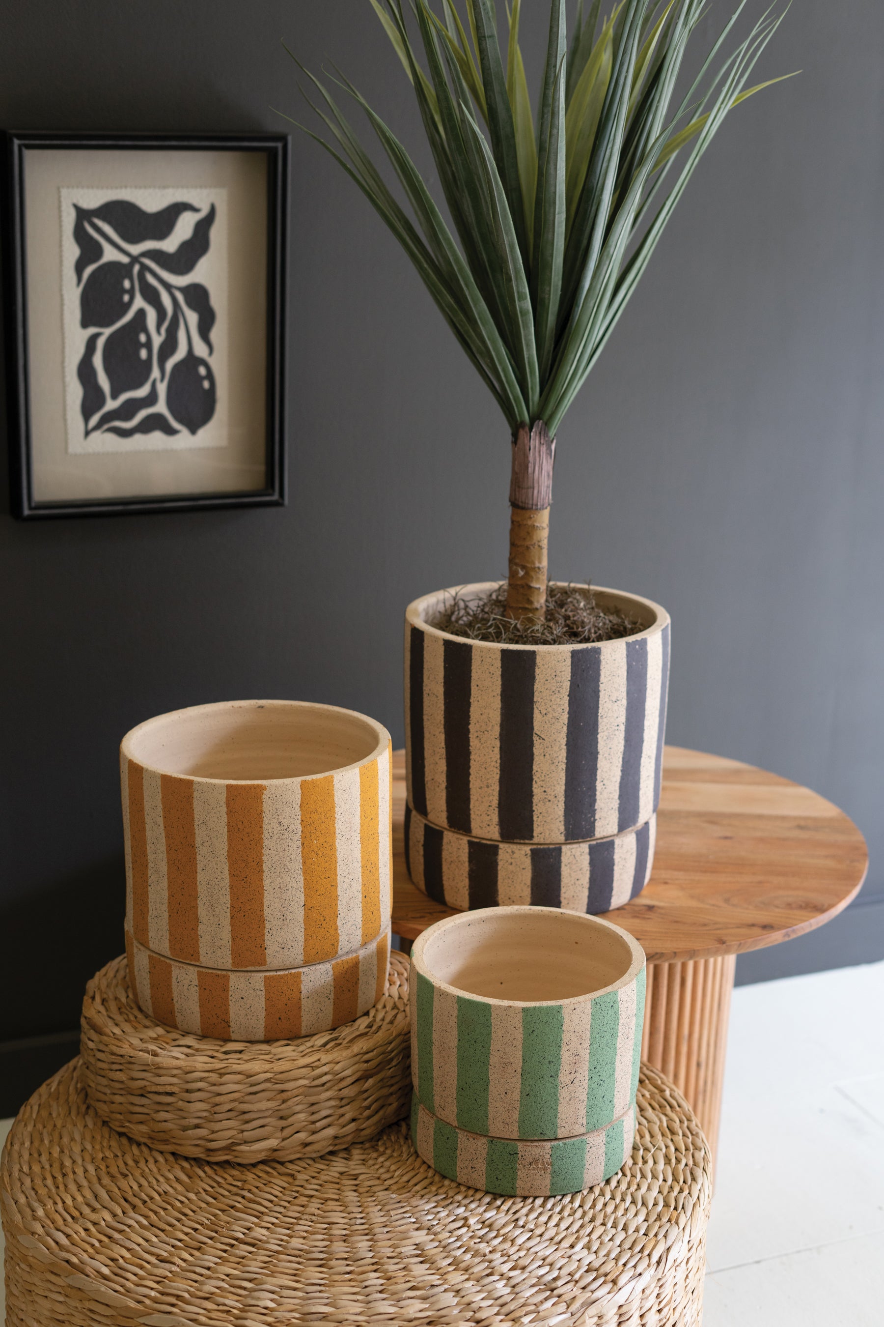 Set of 3 Striped Clay Planters with Trays – Hudson & Vine