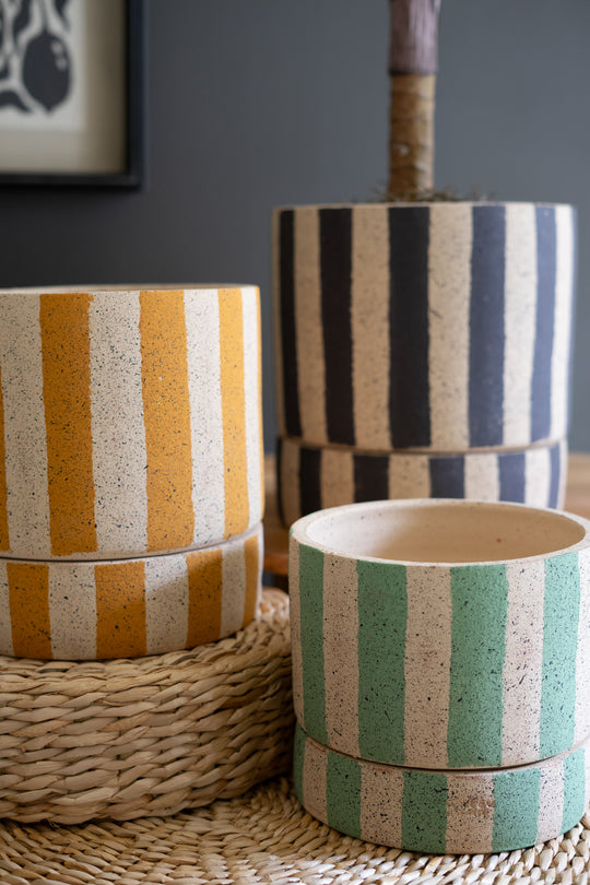 Set of 3 Striped Clay Planters with Trays – Hudson & Vine