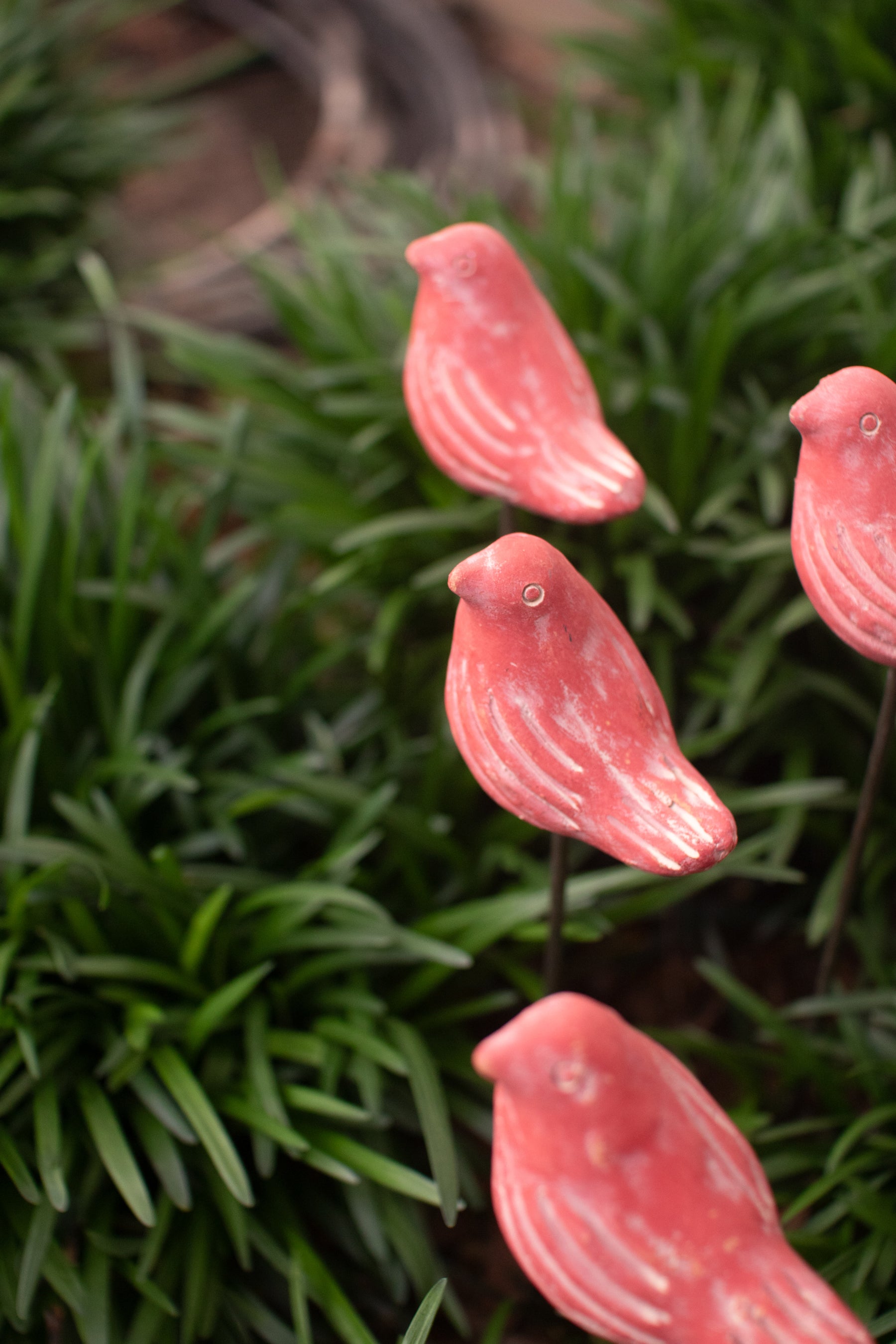 Set of 6 Clay Red Bird Plant Stakes – Hudson & Vine
