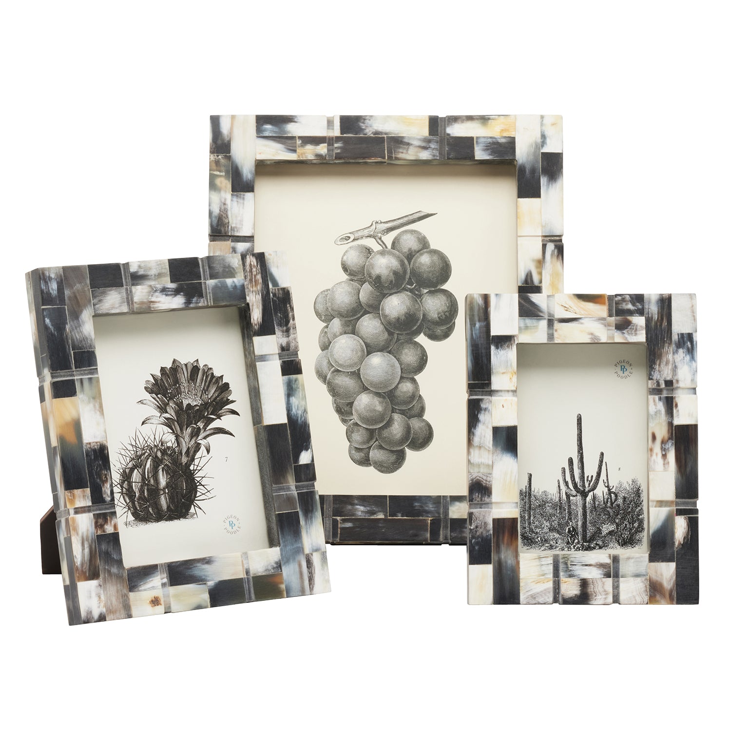 Darwin Dark Horn Picture Frame – Hudson & Vine
