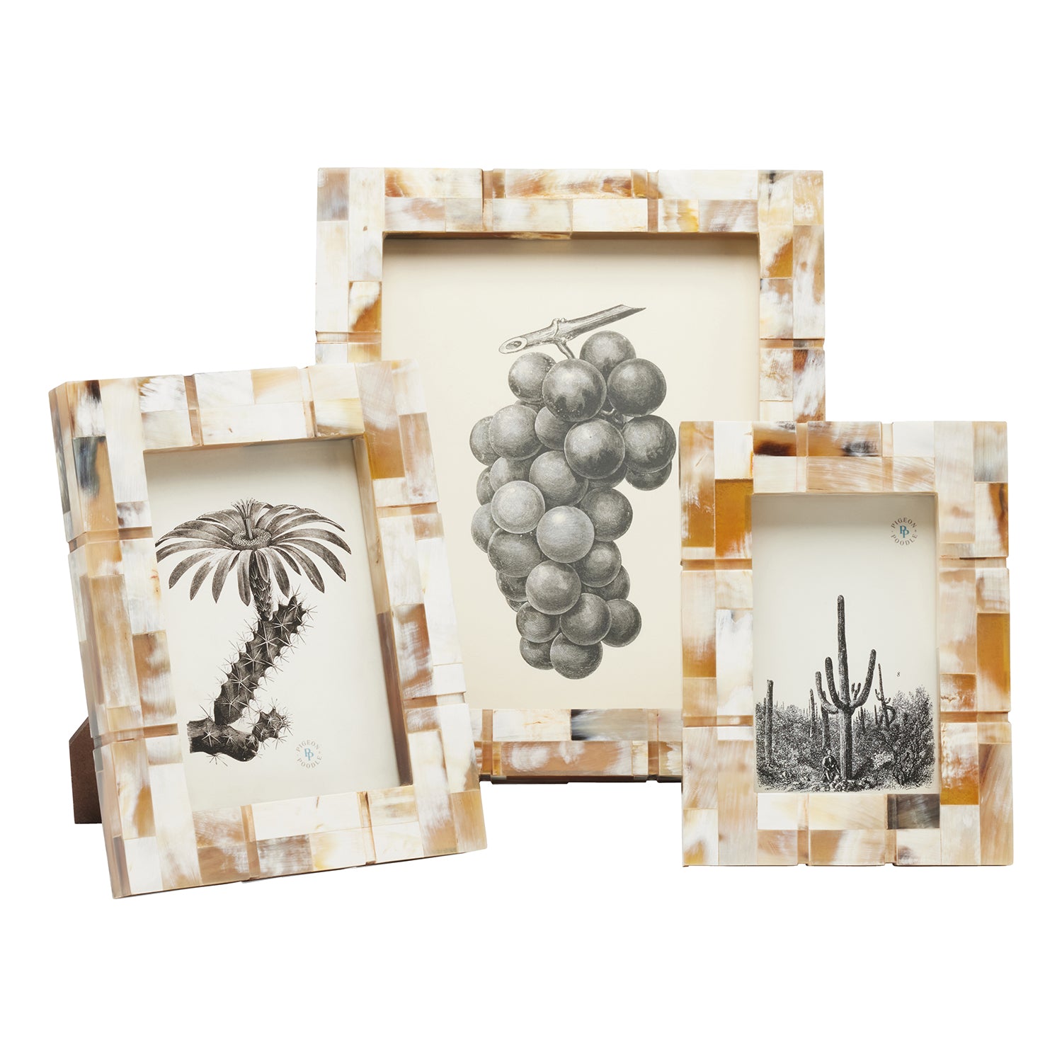 Darwin Natural Horn Picture Frame – Hudson & Vine