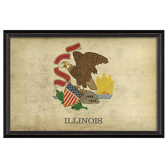 State Flag Framed Print (Illinois) – Hudson & Vine