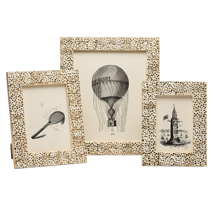 Ismailia Spotted Gold Bone Picture Frames – Hudson & Vine