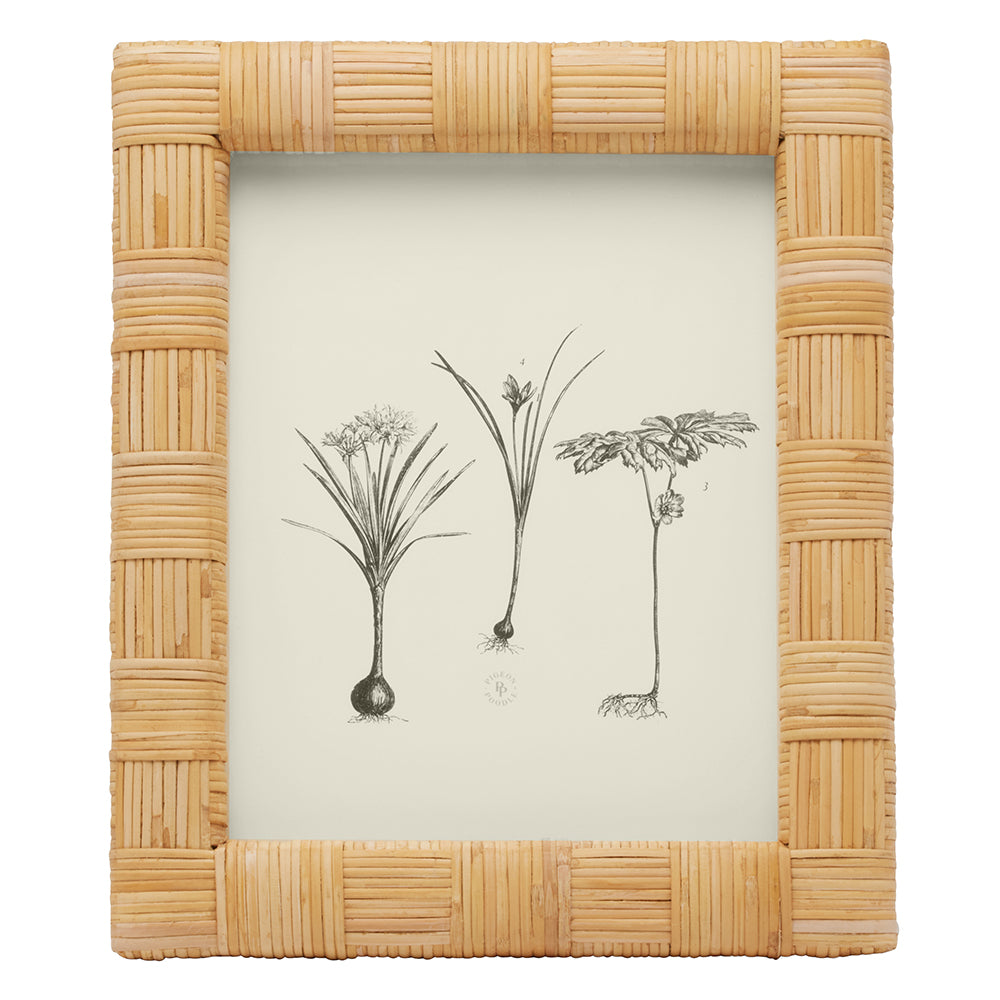 Mayari Natural Cane Picture Frames – Hudson & Vine